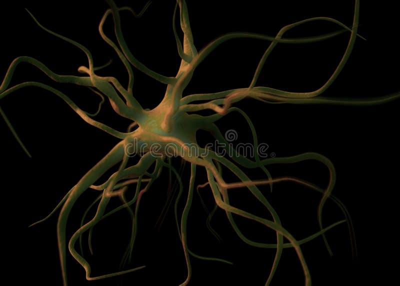 Nerve cells or Neurons stock illustration. Illustration of impulse ...