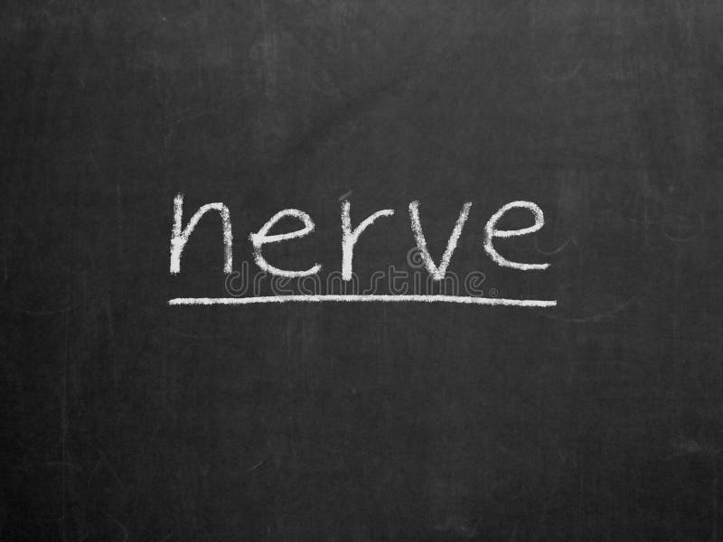The Word NERVE is Written on Wooden Cubes Near a Stethoscope on a ...