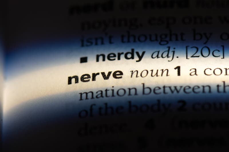 Nerve stock photo. Image of concept, page, nerve, dictionary - 126544280