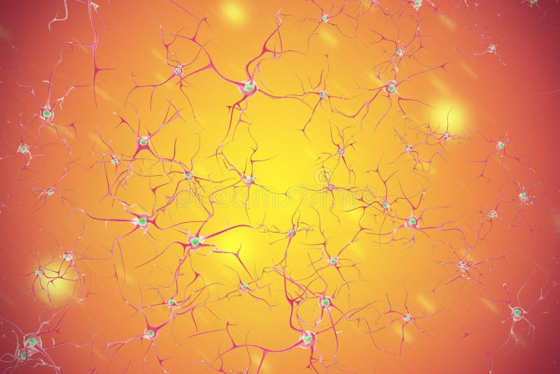 Neurons in the Brain with a Nucleus Inside on Black Background. 3d ...