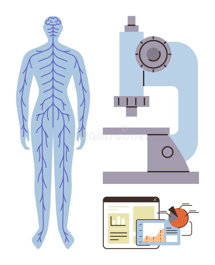 Anatomy Laboratory Stock Illustrations – 31,575 Anatomy Laboratory ...