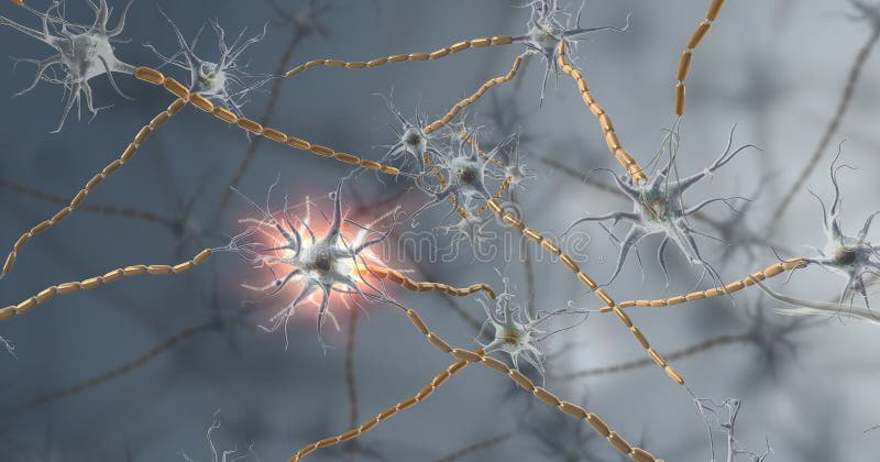 Neuron Tissue Organism System Stock Illustrations – 88 Neuron Tissue ...