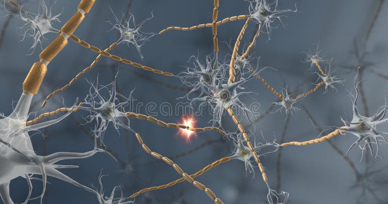 Neuron Tissue Organism System Stock Illustrations – 88 Neuron Tissue ...
