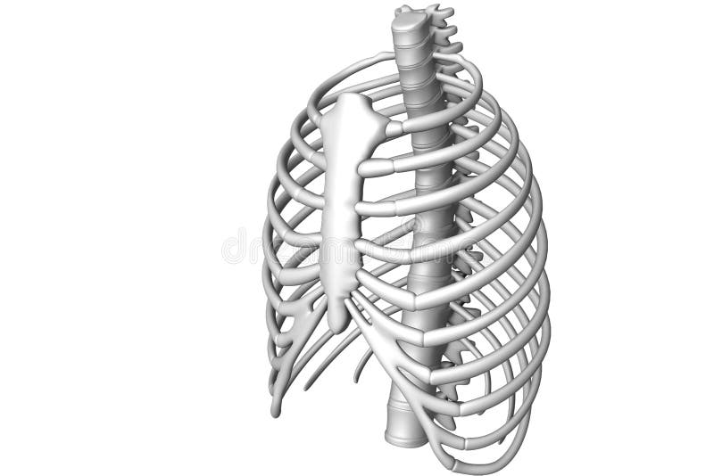 Nervure Stock Illustrations, Vecteurs, & Clipart – (18,443 Stock ...