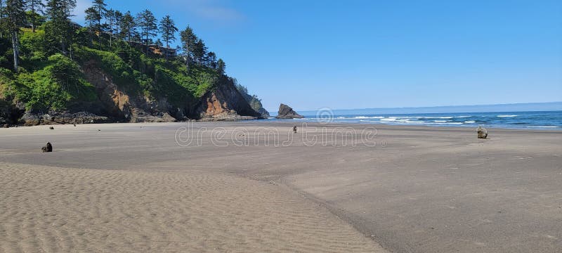 Neskowin Ghost Beach on the Coast of Oregon Stock Image - Image of ...
