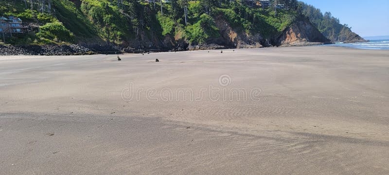 Neskowin Ghost Beach on the Coast of Oregon Stock Photo - Image of ...