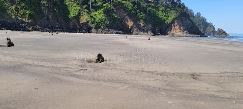 Neskowin Ghost Beach on the Coast of Oregon almost Gone Stock Image ...