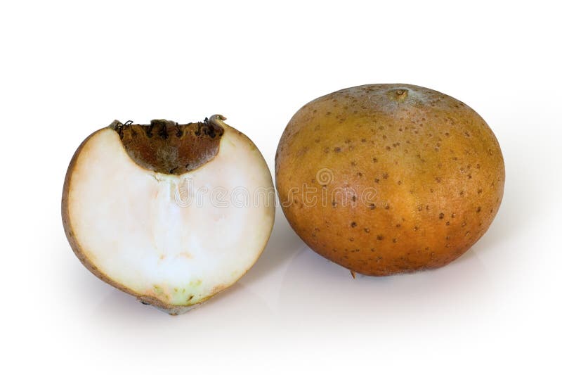 NESPOLA O MISPEL (MESPILUS GERMANICA) Fotografia Stock - Immagine di ...