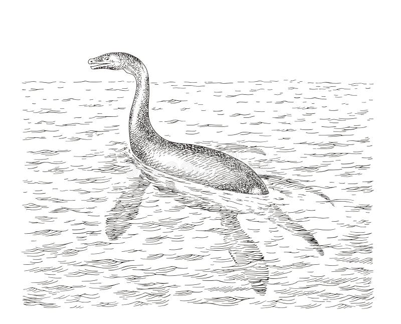 Nessy stock vector. Illustration of ancient, evolution - 13737485