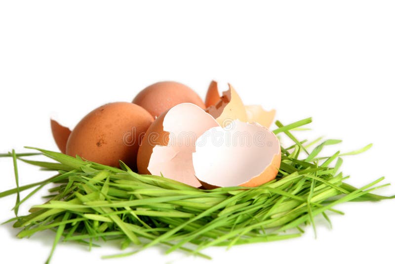 March Birth Animal Stock Photos - Free & Royalty-Free Stock Photos from ...