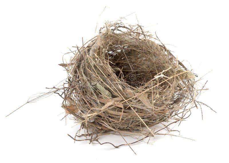 Nested Diamonds stock photo. Image of brilliant, precious - 871944