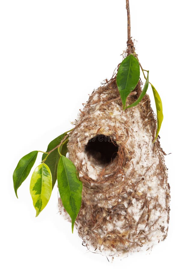 The Texture, Background Of Brown Straw Is Bird Nest Stock Photo - Image ...