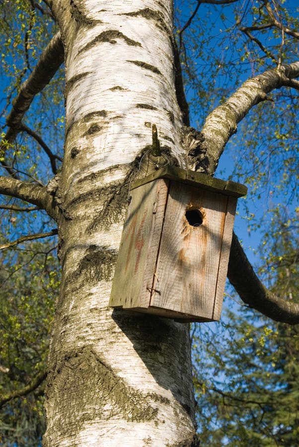 Nest box stock image. Image of hanged, wooden, blue, tree - 3832681