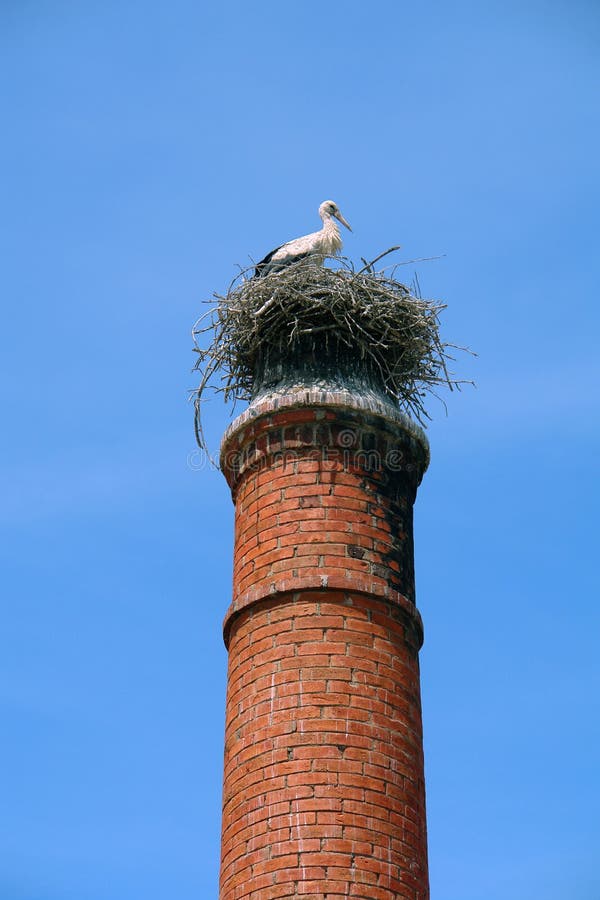 Stork on Chimney Stack Nest Stock Photo - Image of stork, explore: 2881840