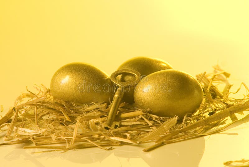 Nest egg stock image. Image of ideas, savings, wealth - 7296951