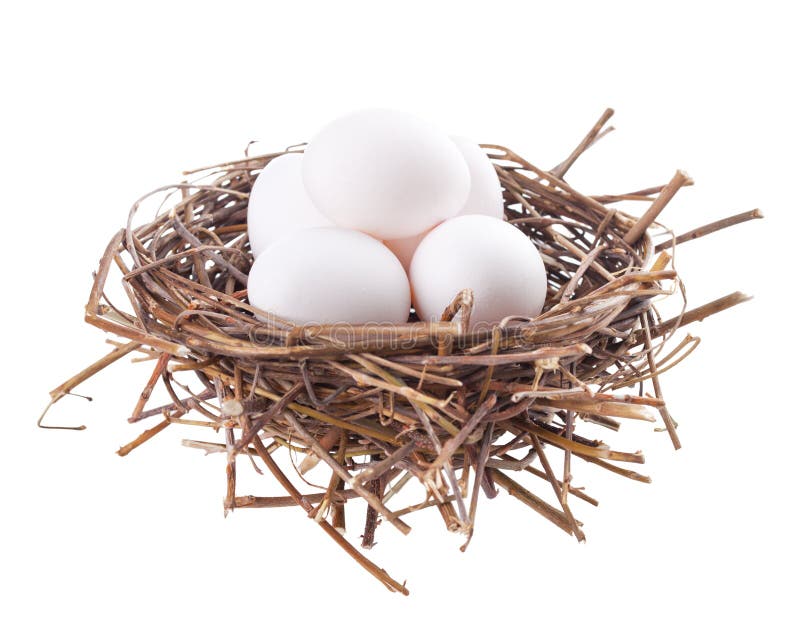Nest with the bird s eggs stock photo. Image of refuge - 2038280