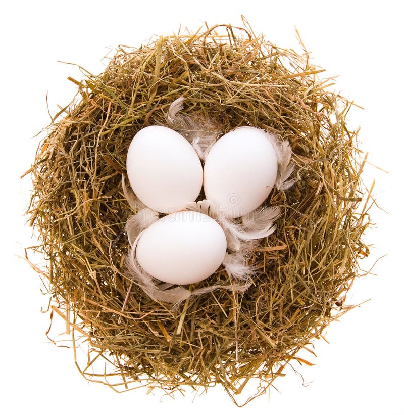 Eggs in a nest stock image. Image of birth, ecology, colour - 4596439