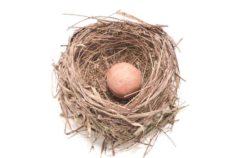 Nest and stone stock photo. Image of creativity, life - 38372758