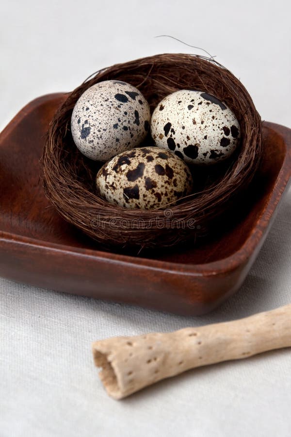 Nest in Wooden Plate stock photo. Image of easter, group - 23168842