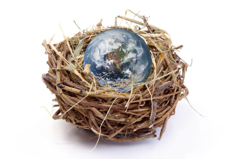 Earth Nest stock photo. Image of preservation, continent - 855898