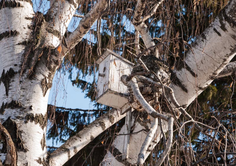 Nesting box stock image. Image of russia, feeder, trees - 50740617