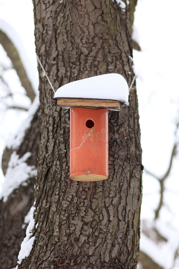 Nesting Box Covered by Snow Stock Image - Image of impressive, chill ...