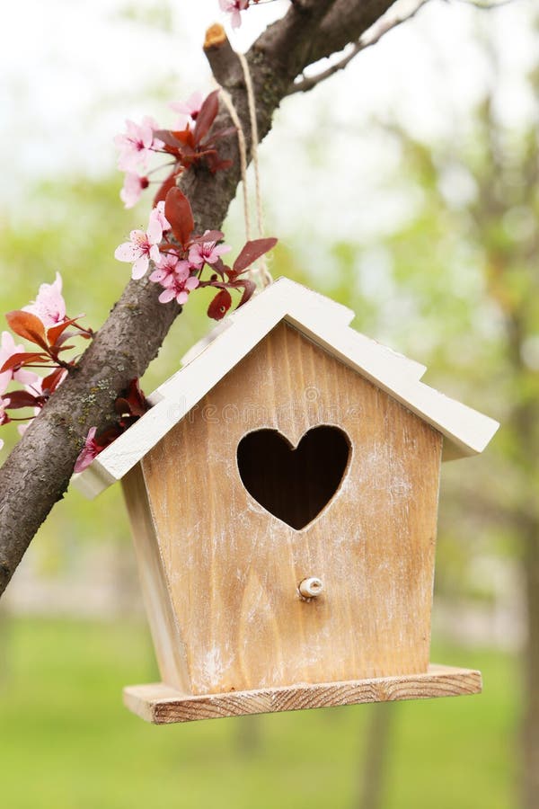 Nesting box stock photo. Image of blossom, handmade, blooming - 64332264