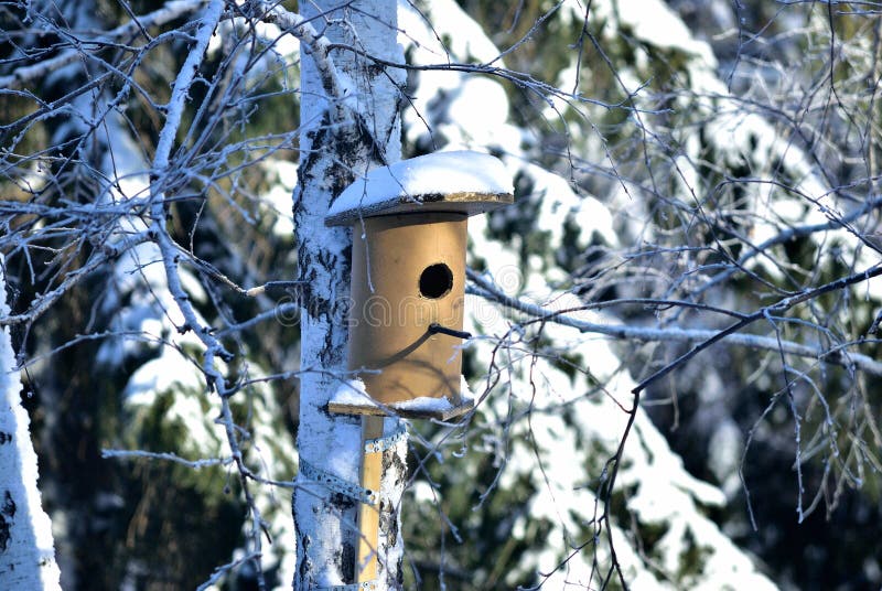 Nesting box stock photo. Image of siberia, beautifully - 148719144