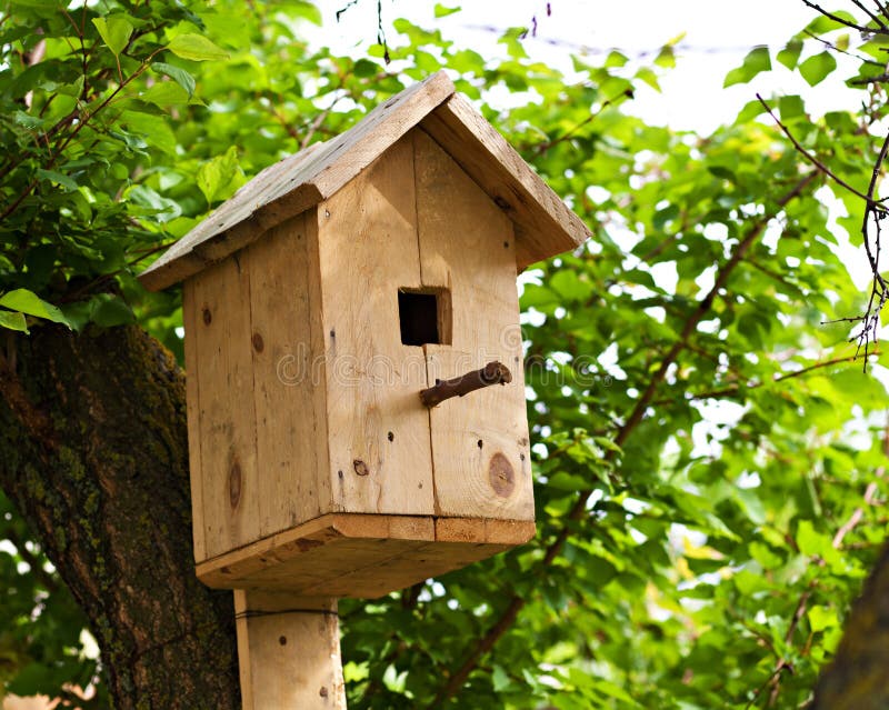 Nesting box outdoor stock photo. Image of forest, tree - 41114416