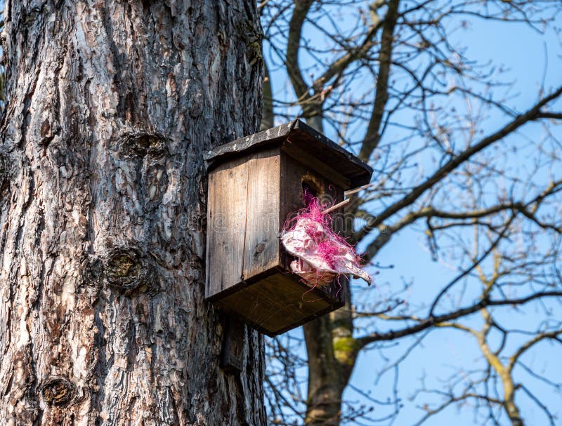 Nesting Box with Plastic Waste Nature Conservation Stock Photo - Image ...