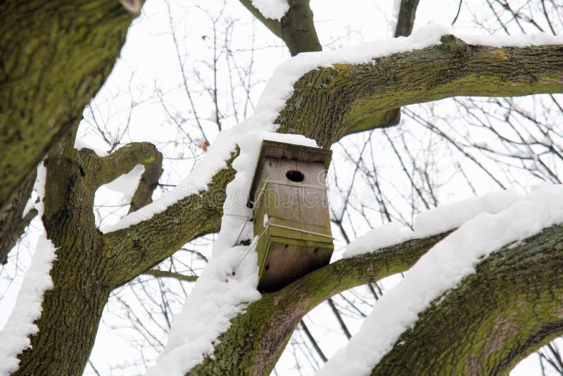 Nesting Box on a Snow Covered Tree Stock Photo - Image of nest, house ...