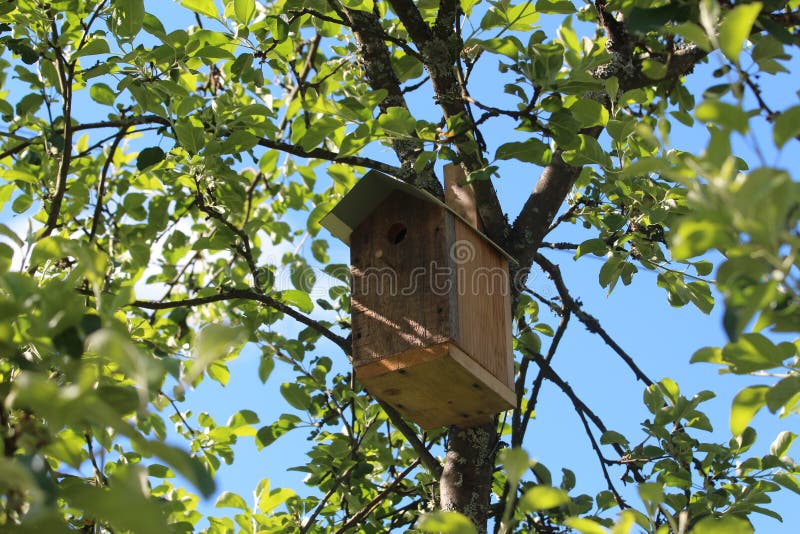 A nesting box. stock photo. Image of lifestyle, tree - 53071078