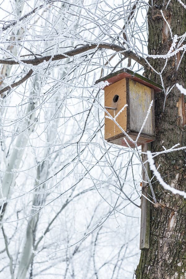 Nesting box under snow stock image. Image of pond, branch - 47752943