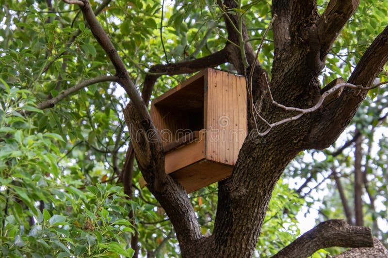 Manmade Birdbox Stock Photos - Free & Royalty-Free Stock Photos from ...