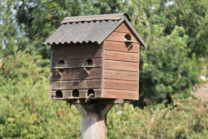 Rustic Bird Box. stock photo. Image of nesting, bird - 55253174