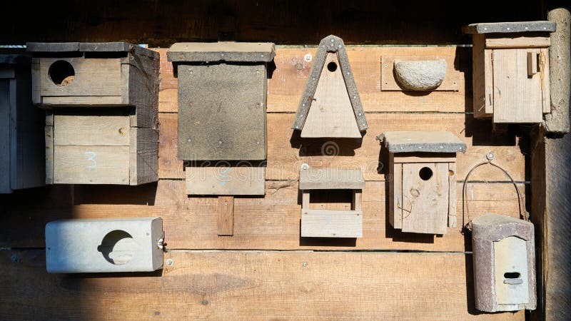 Nesting Boxes for Different Bird Species Stock Image - Image of home ...