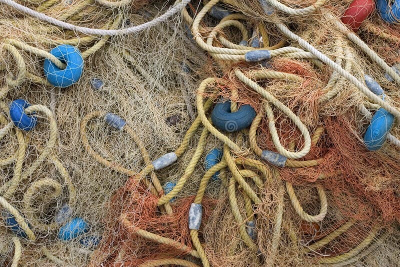 Net 04 Picture. Image: 468198