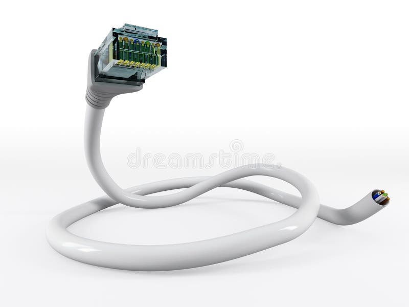 Net Cable. Macro Shot of Network Connection Plug. LAN Network ...