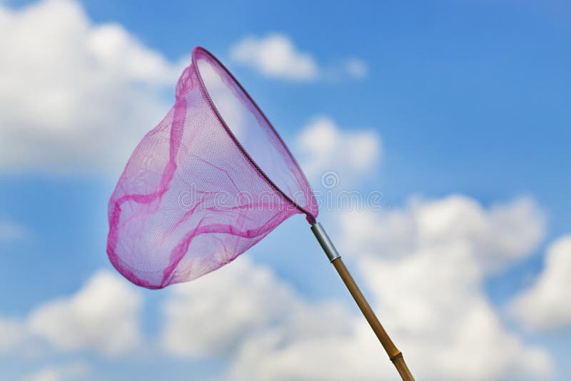 Butterfly Net for Catching Butterflies Stock Photo - Image of color ...