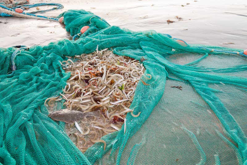 Fish net stock photo. Image of twine, background, seine - 13262788