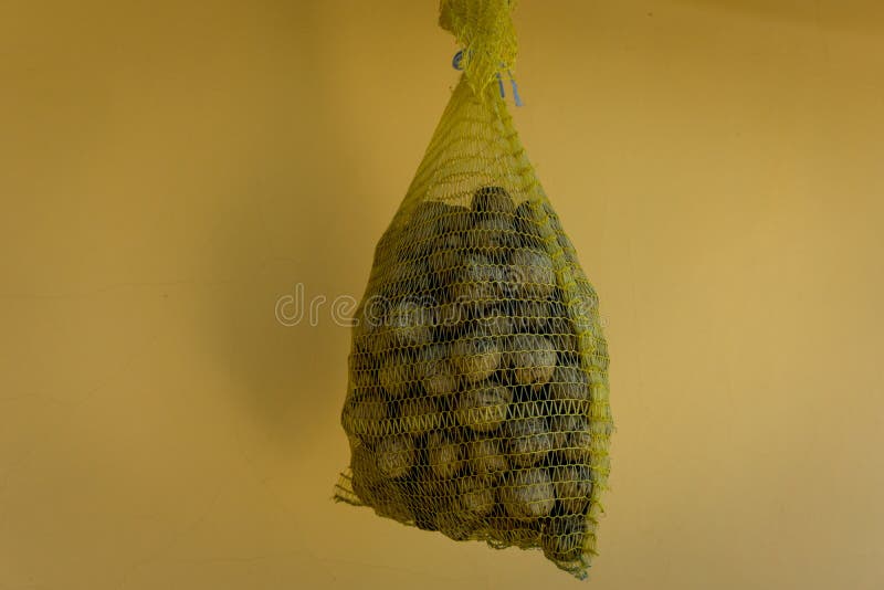 A Net Full of Walnuts Hanging in Front of a Yellow Background, Stock ...