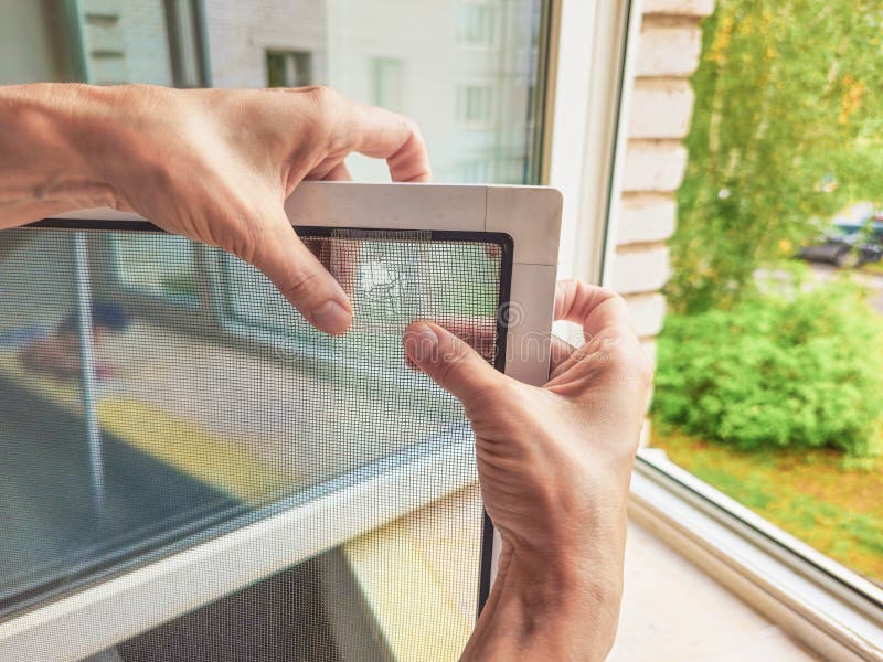 159 Mosquito Net Installing Stock Photos - Free & Royalty-Free Stock ...