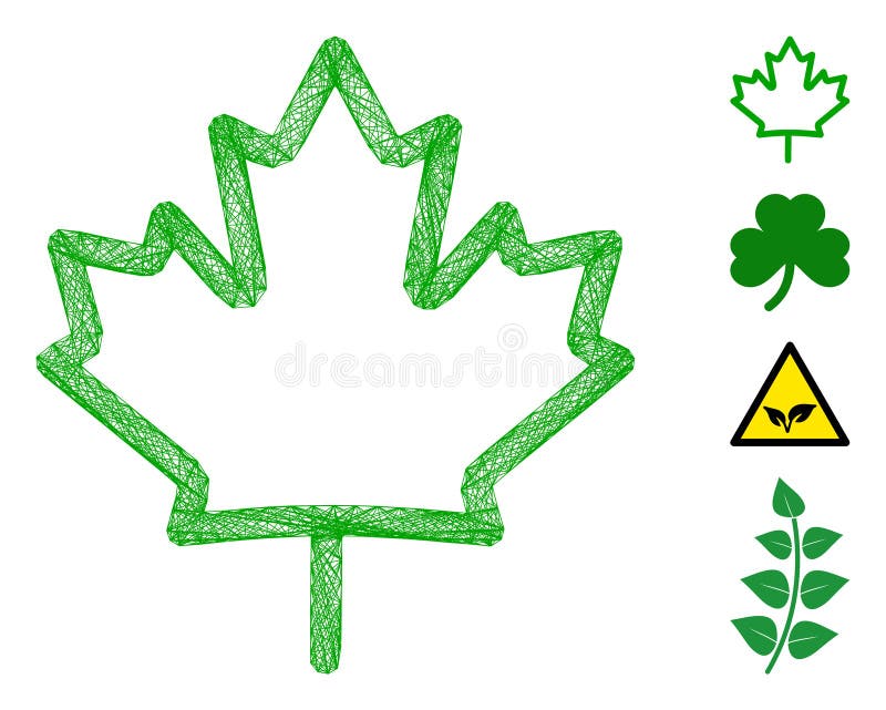 Maple Leaf Wireframe Stock Illustrations – 56 Maple Leaf Wireframe ...