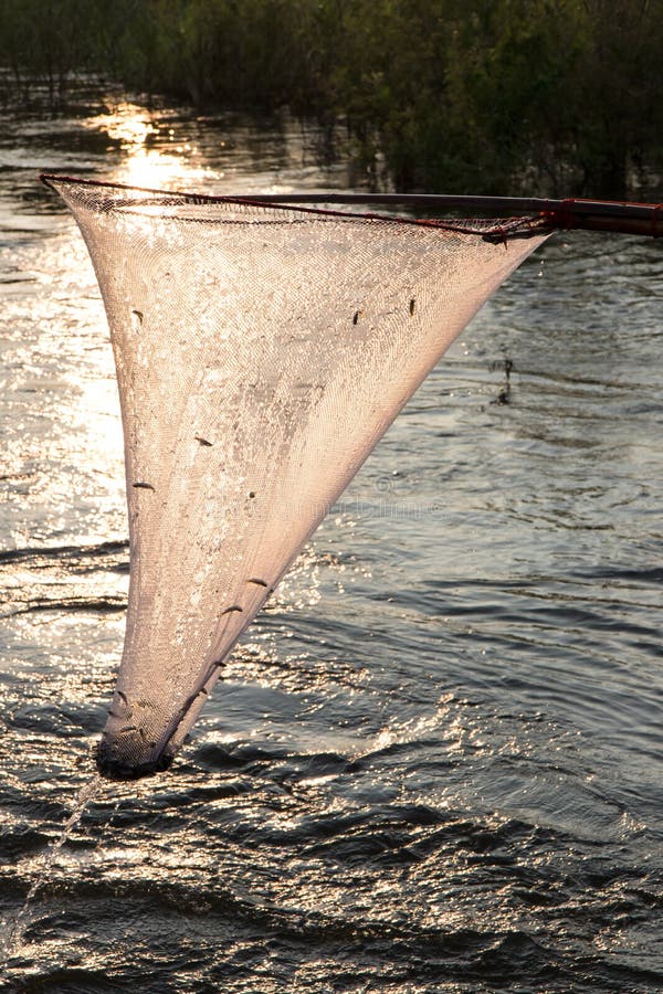 Net mesh scoop fish light. stock image. Image of coast - 79287111