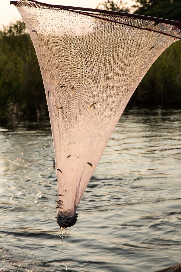 Net mesh scoop fish light. stock image. Image of industry - 79287477