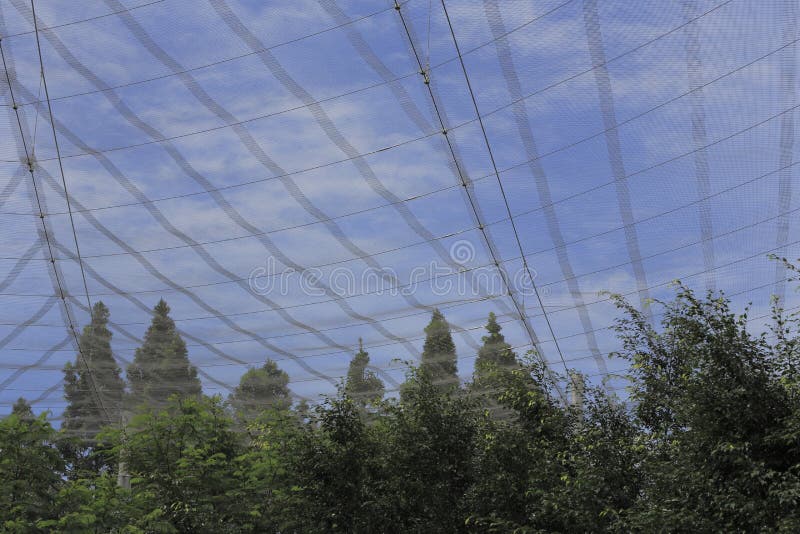 Aviary Trap Stock Photos - Free & Royalty-Free Stock Photos from Dreamstime