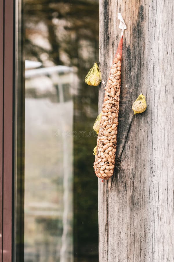 Net of Peanuts Hanging from the Wood Under the Lights with a Blurry ...