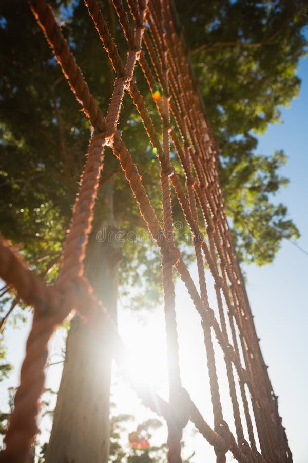 Net Rope during Obstacle Course Stock Image - Image of health, fitness ...