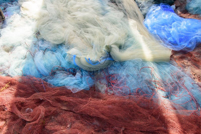 Net for trapping fish stock photo. Image of fresh, fishing - 91697622