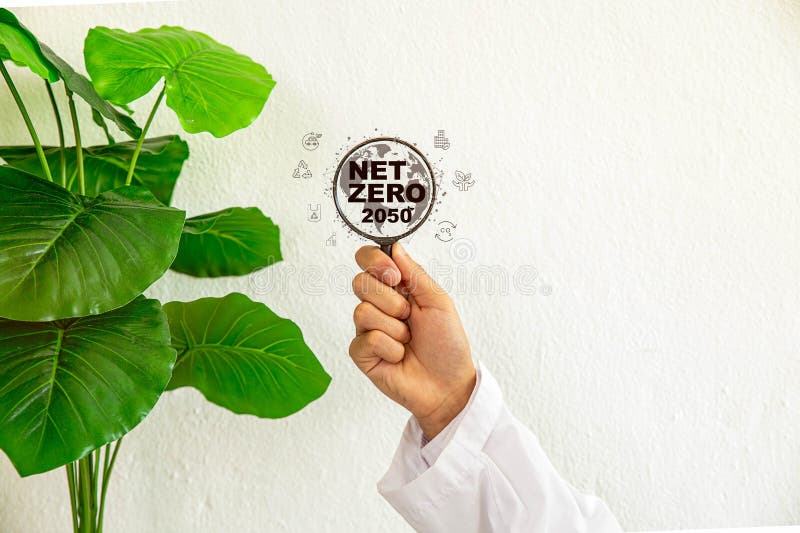 Net Zero and Carbon Neutral Concepts Net Zero Stock Image - Image of ...